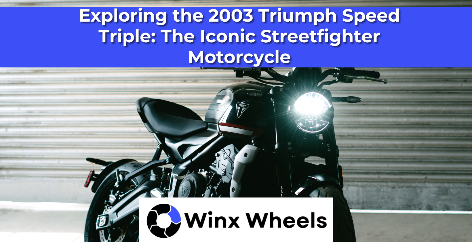 Exploring the 2003 Triumph Speed Triple: The Iconic Streetfighter Moto ...