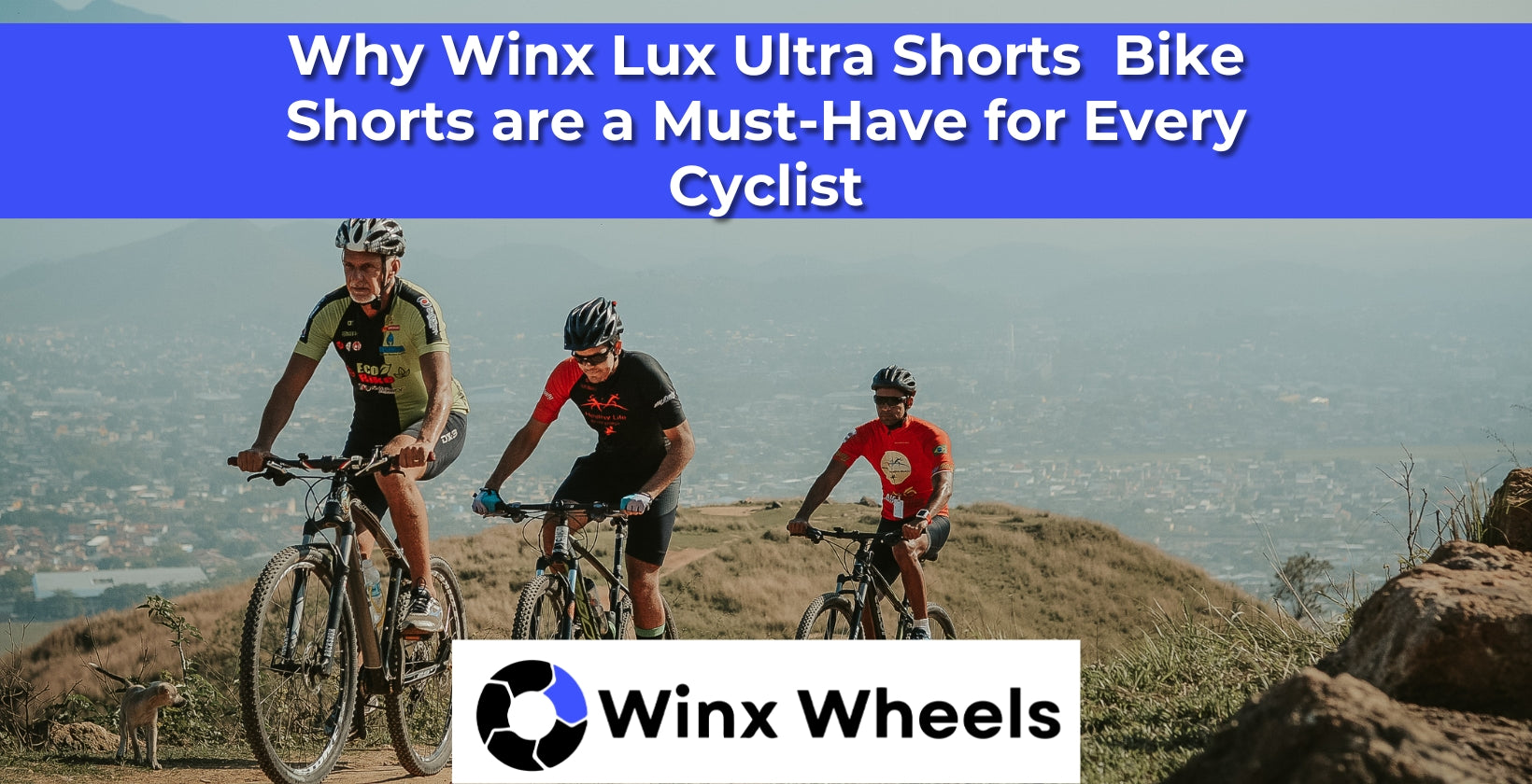 Why Winx Lux Ultra Shorts Bike Shorts are a Must-Have for Every Cyclis ...